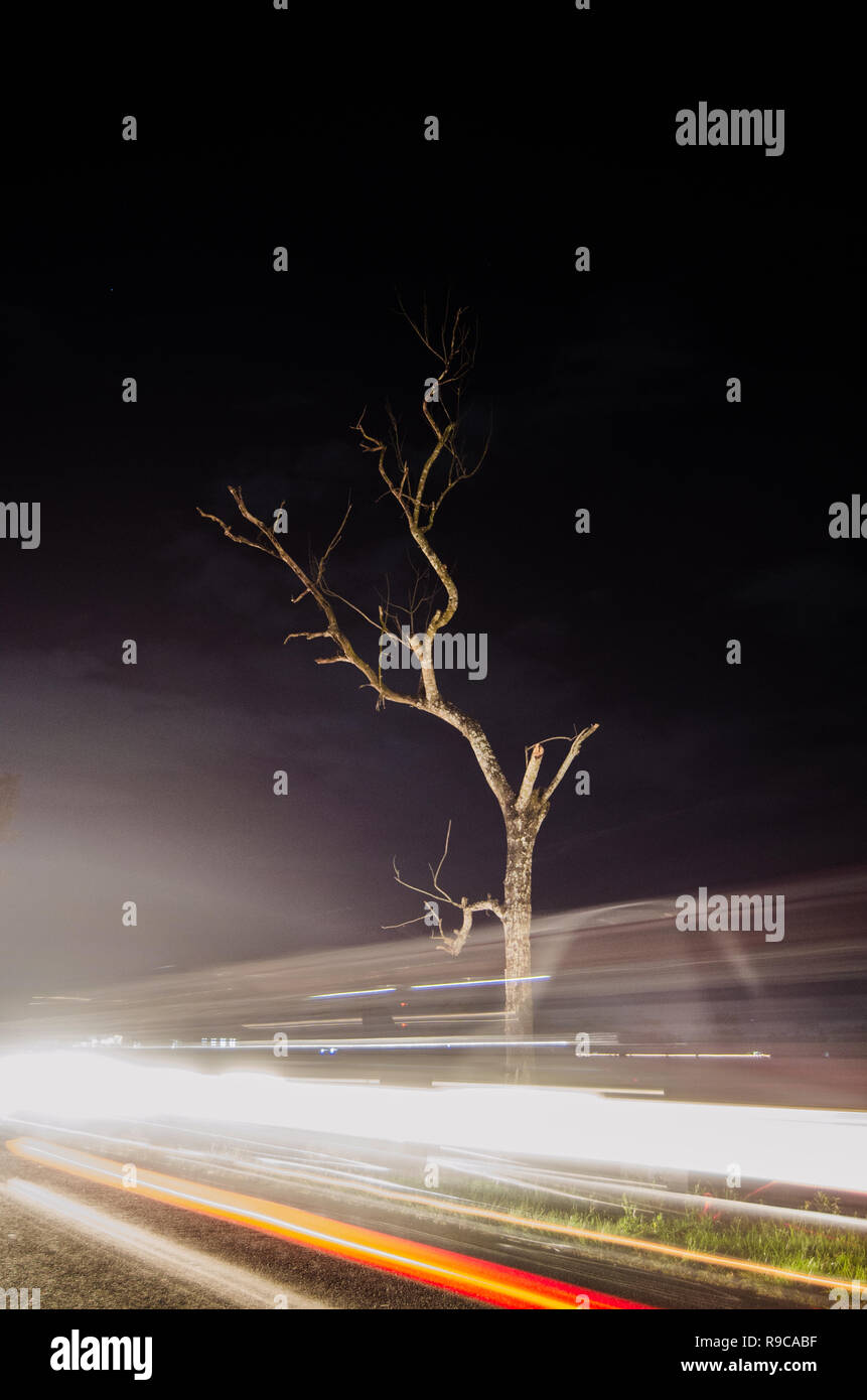 Midnight street traffic lights hi-res stock photography and images - Alamy