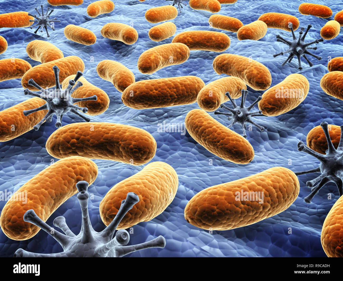 Different Bacteria High Resolution Stock Photography and Images - Alamy