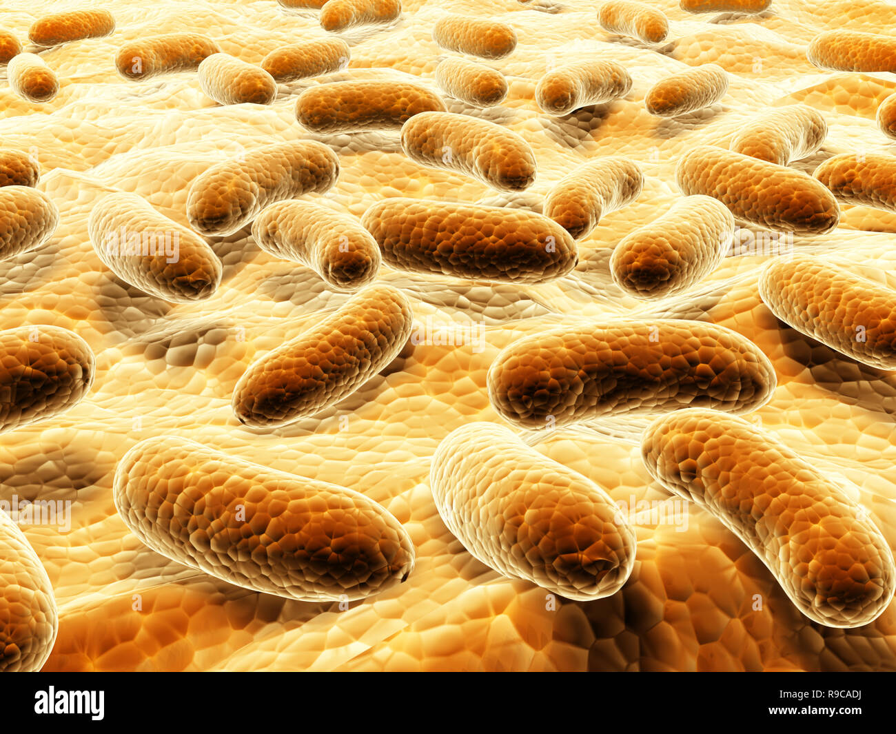 Pathogen bacteria on the surface. 3d render Stock Photo - Alamy