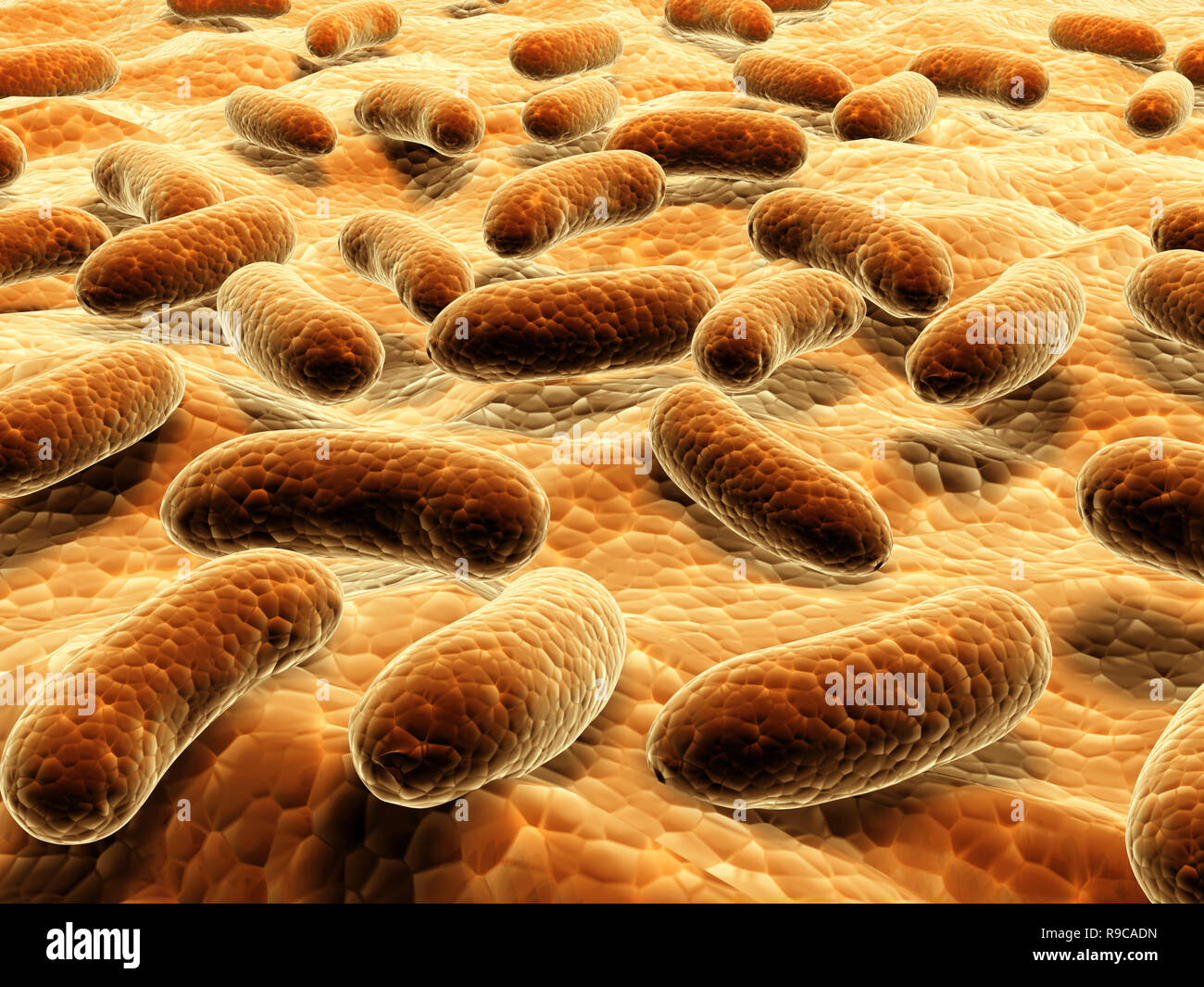 Pathogen bacteria on the surface. 3d render Stock Photo - Alamy