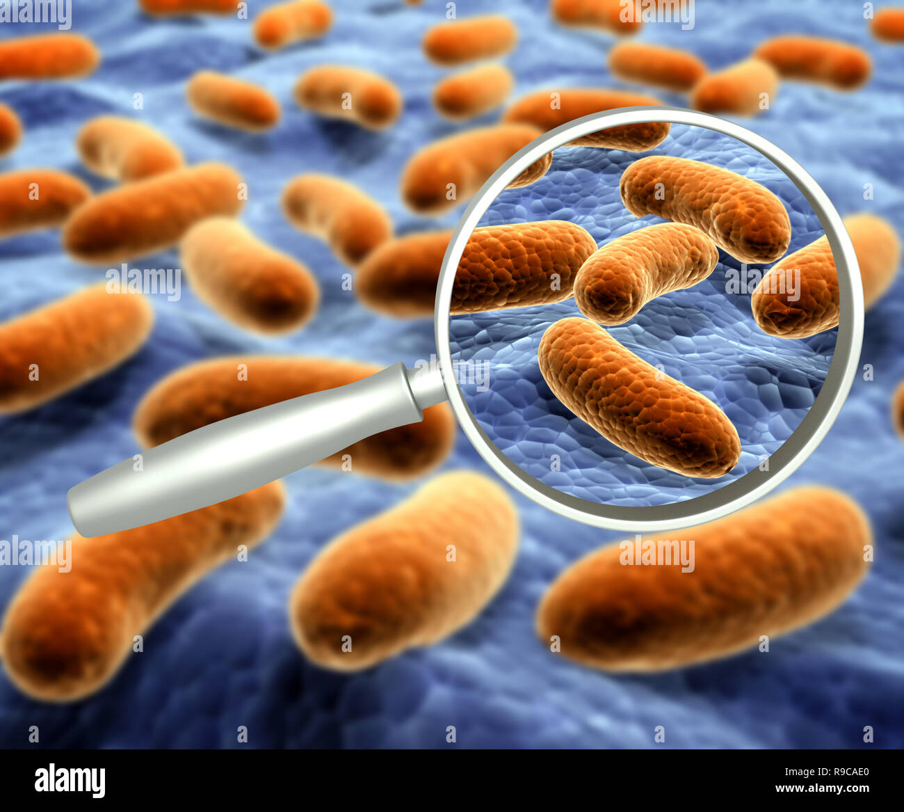 Magnifying glass and colony of pathogen bacteria. 3d render Stock Photo ...