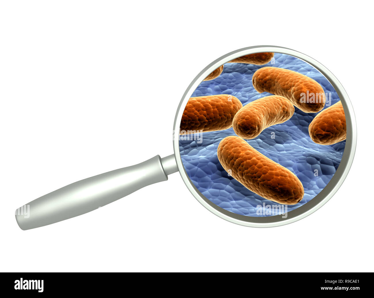 Magnifying glass and colony of pathogen bacteria. Isolated on white ...