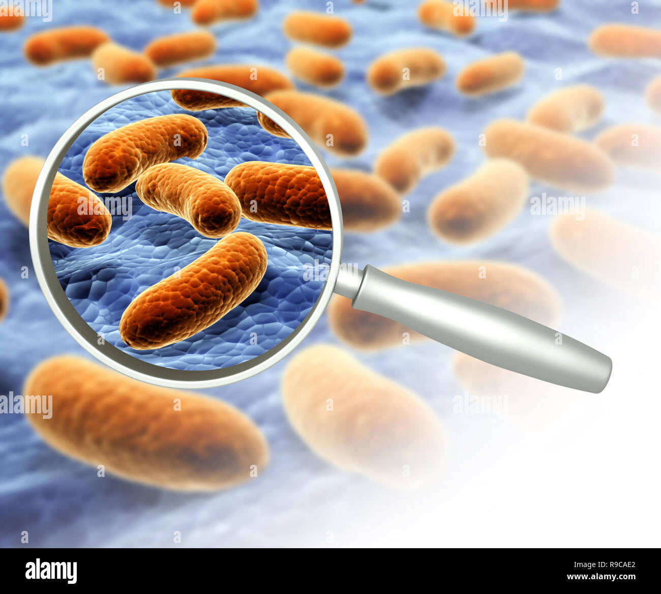 Magnifying glass and colony of pathogen bacteria. 3d render Stock Photo ...