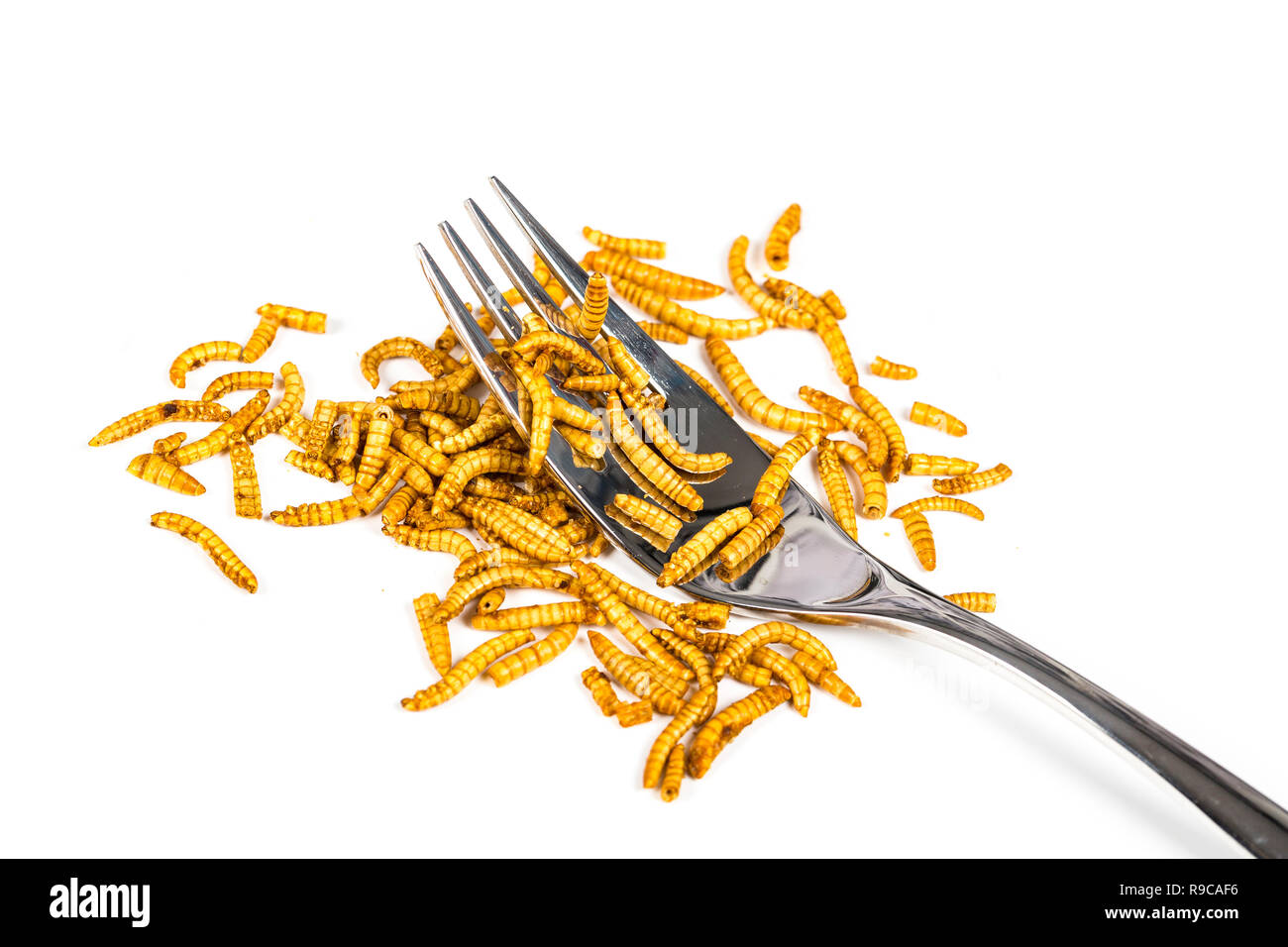 Asian eating worms hi-res stock photography and images - Alamy