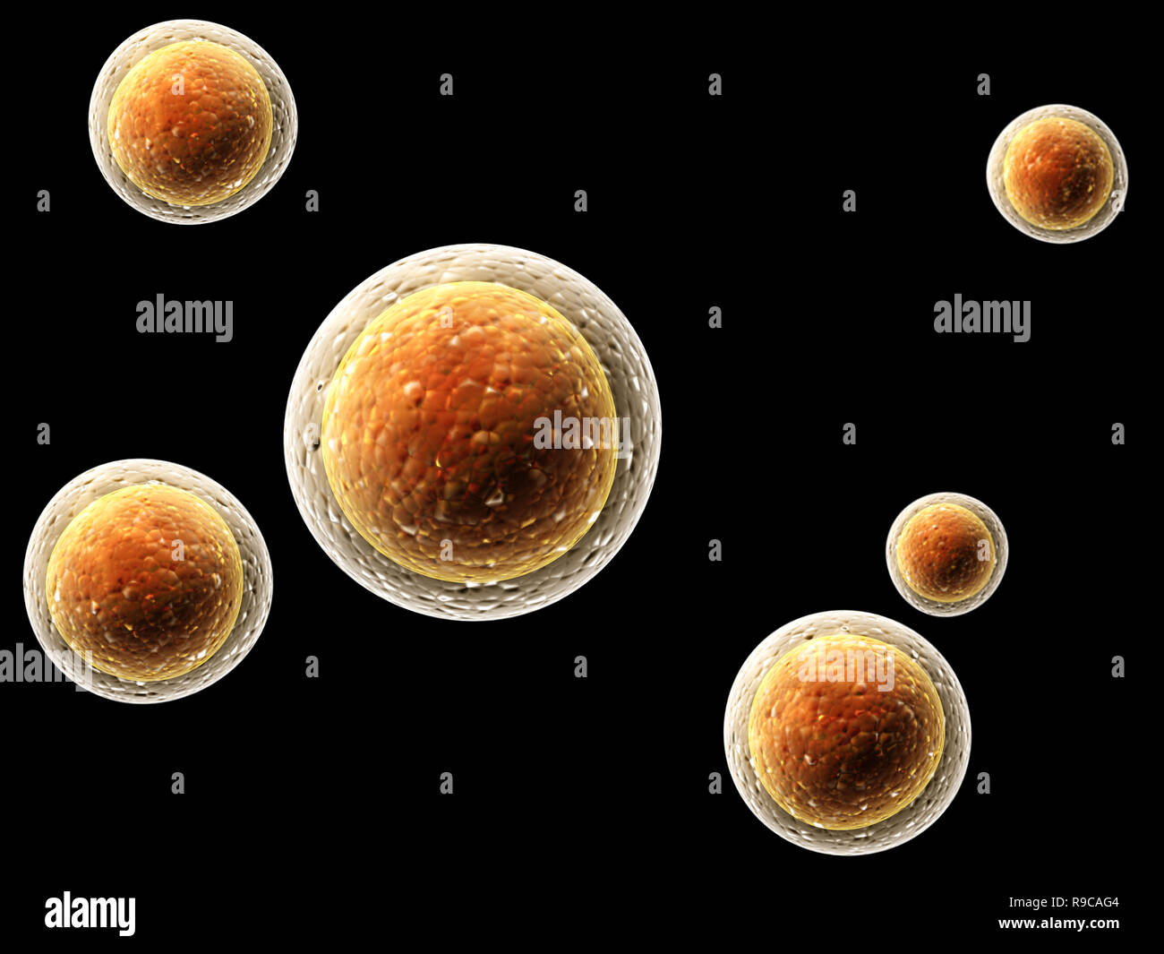 Colony of pathogen viruses. Isolated on black background Stock Photo ...