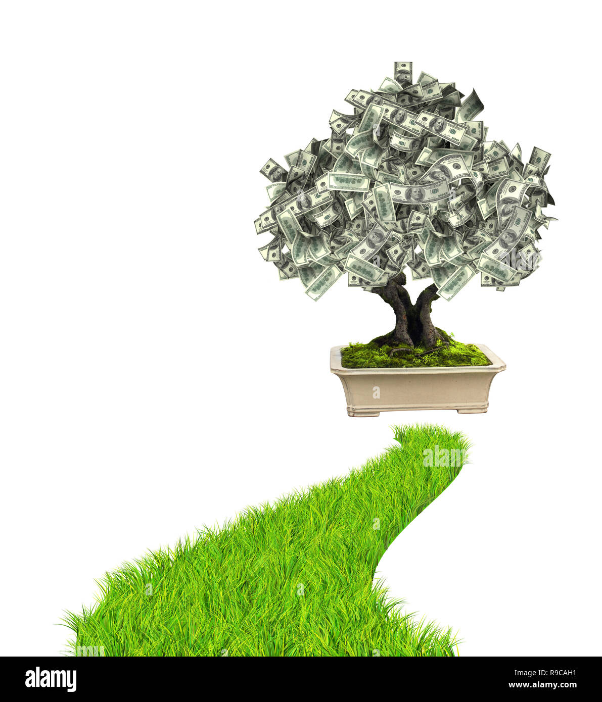 3d money tree dollar banknotes and road with green grass. Isolated on ...