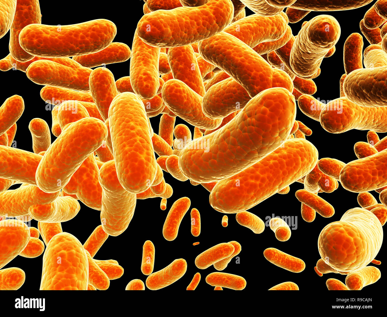Microscopic harmful bacteria hi-res stock photography and images - Alamy