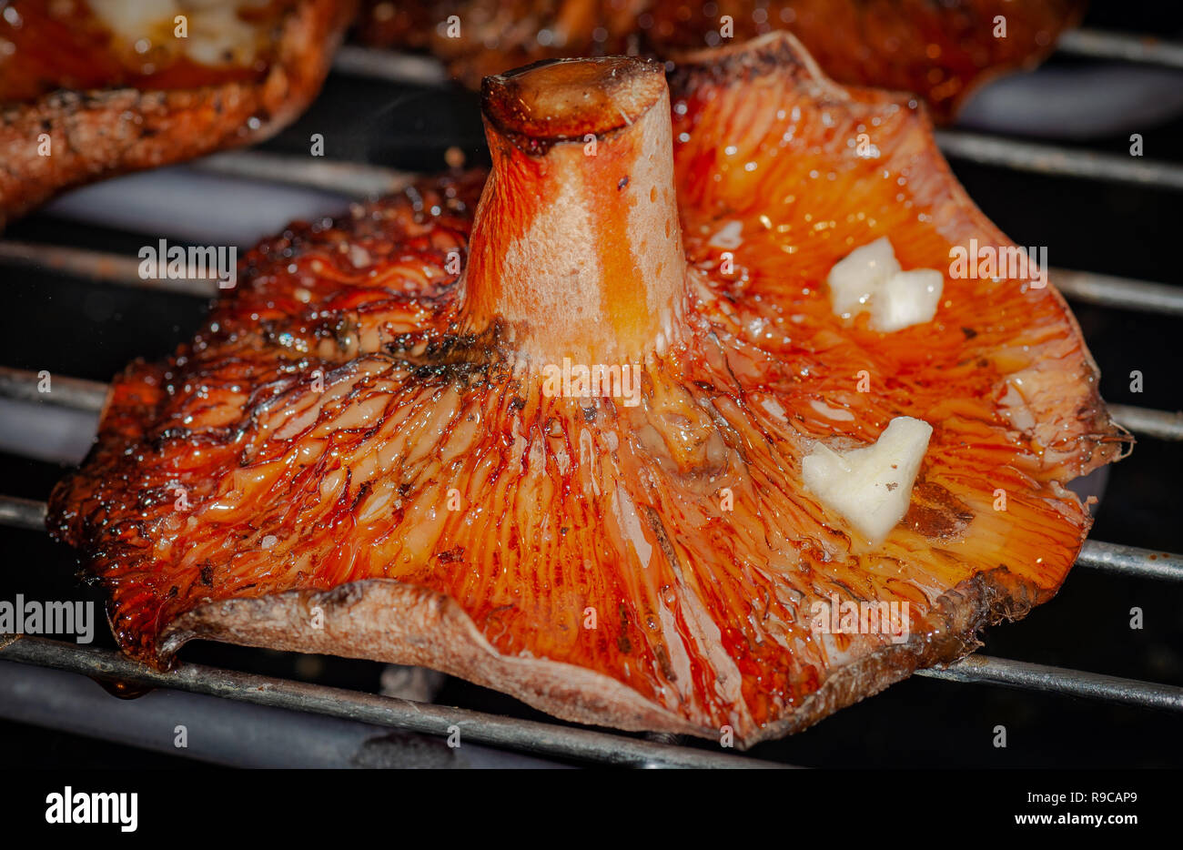 Tasty fungi hi-res stock photography and images - Alamy