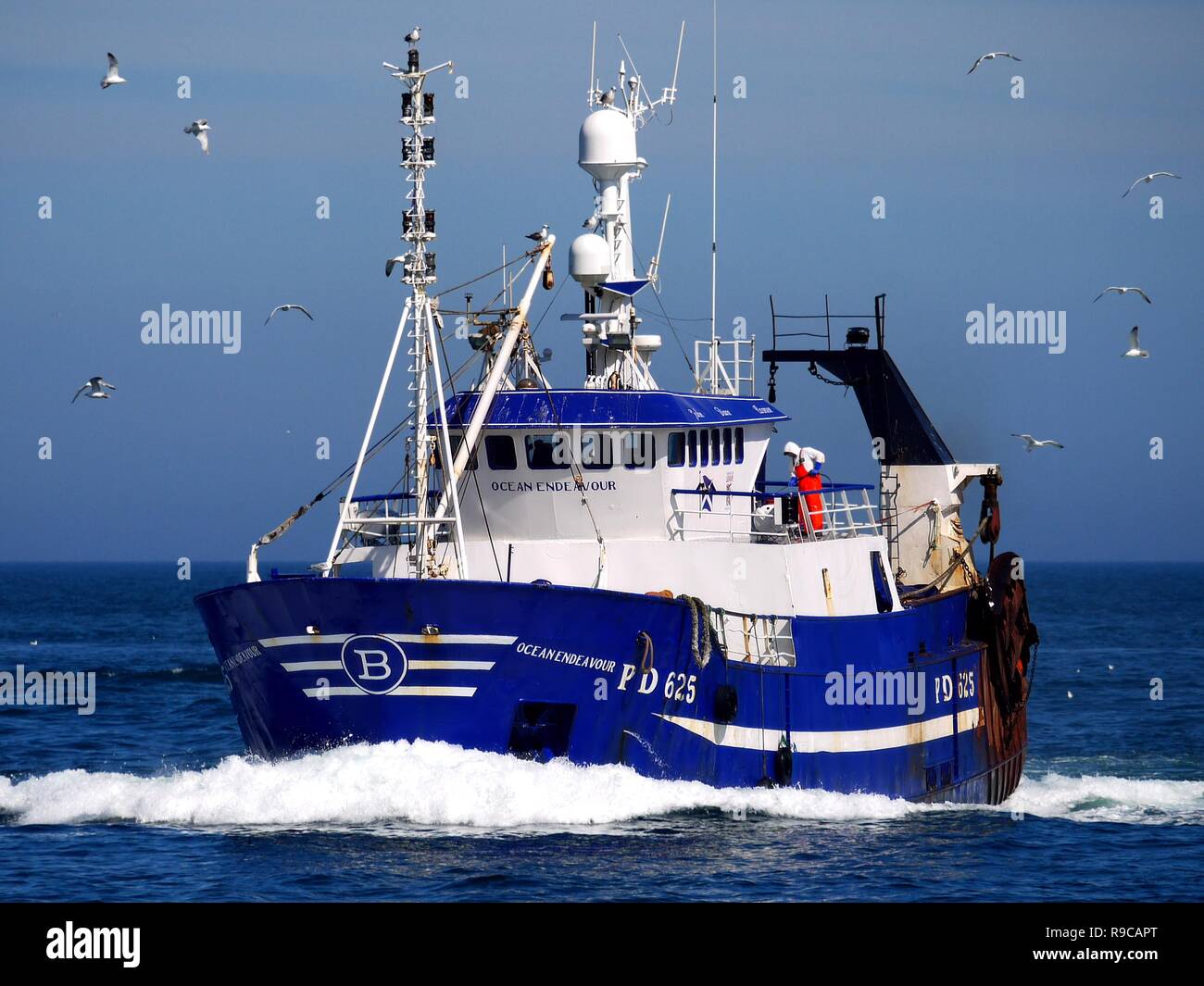 Ocean Endeavour PD625 Stock Photo - Alamy