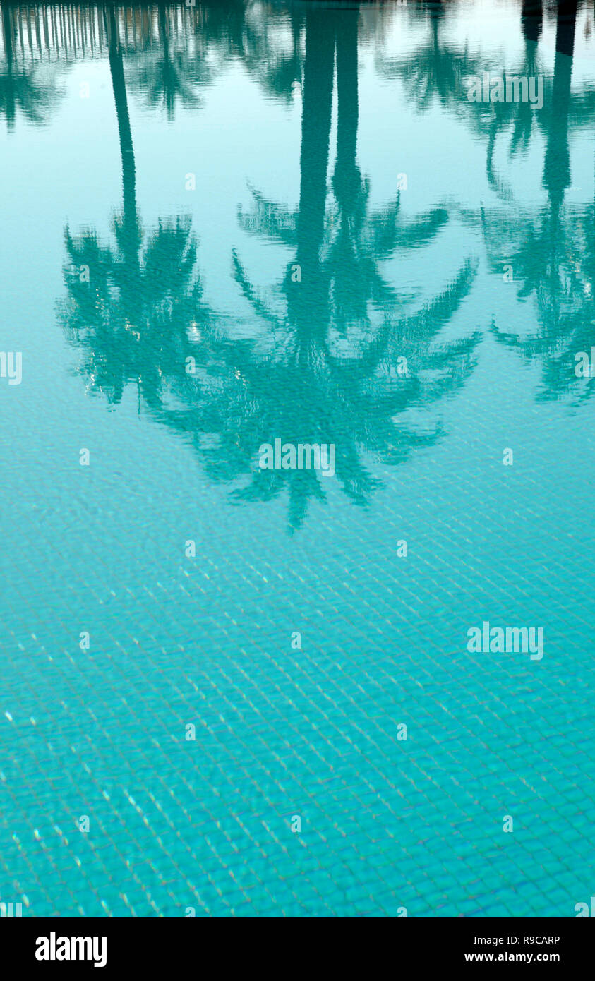 reflection in the swimming pool Stock Photo - Alamy
