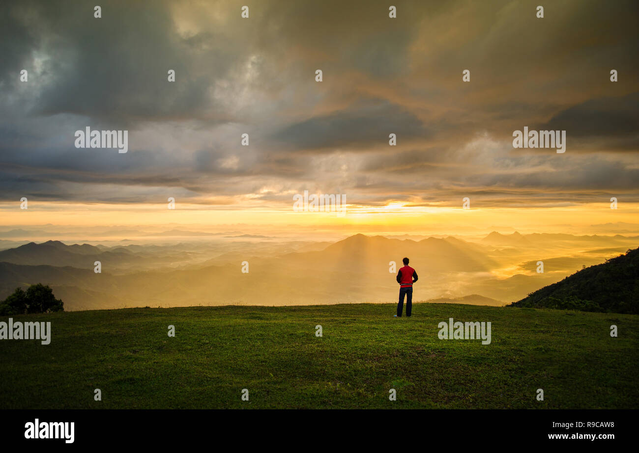 Silhouette of man standing in forest in fog hi-res stock photography ...