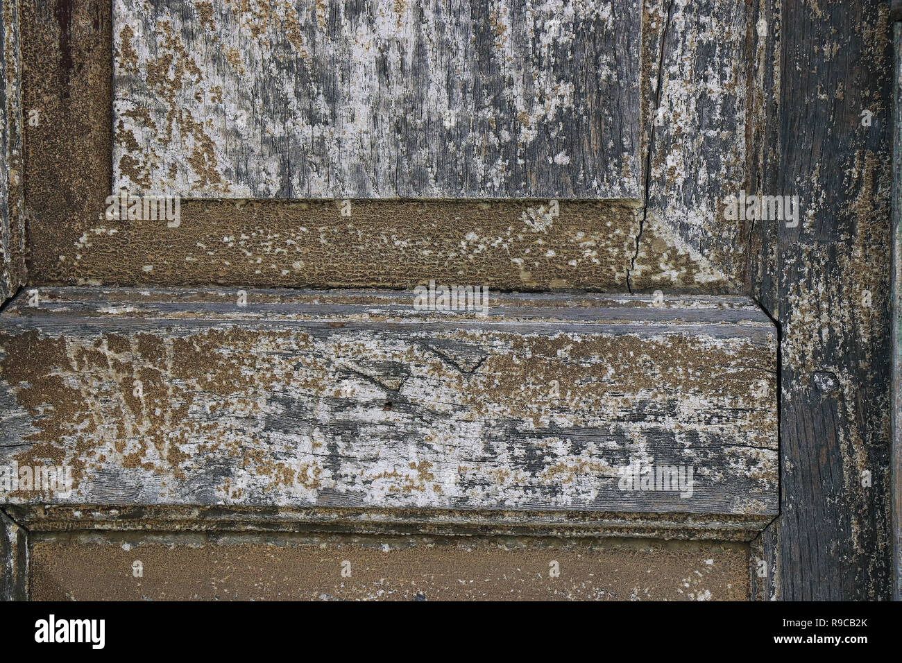 colorful grunge wood wooden wall wallpaper background backdrop surface ...