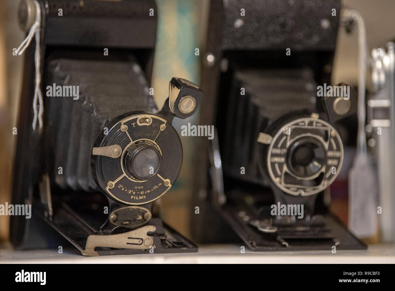 Old accordion camera hi-res stock photography and images - Alamy