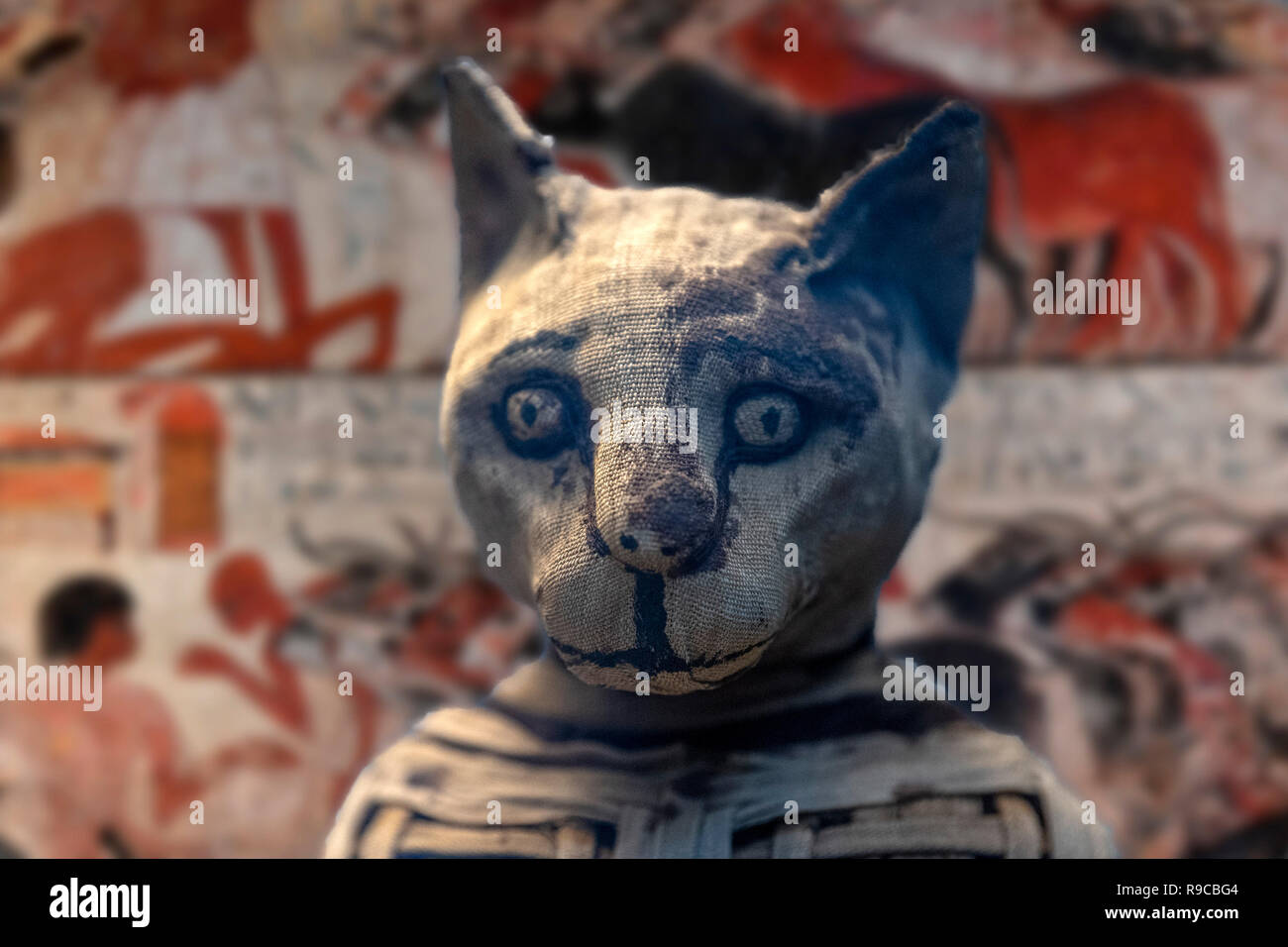 Art museum cat mummy hi-res stock photography and images - Alamy