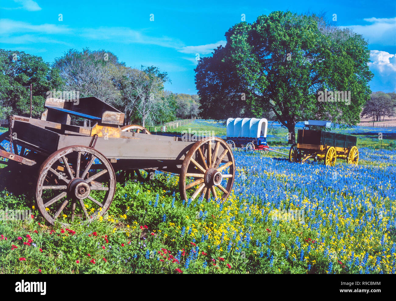 Spring wagons hi-res stock photography and images - Alamy