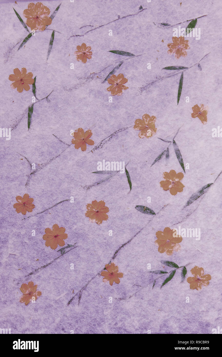 Mulberry bag hi-res stock photography and images - Alamy