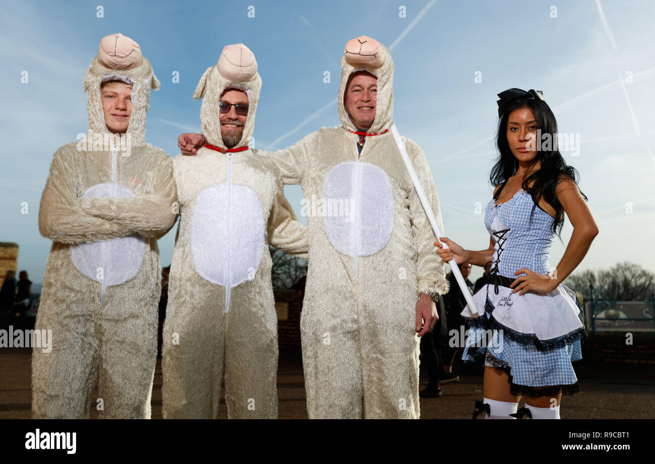 Darts fans wearing Little Bo Peep and her sheep fancy dress outfits ...