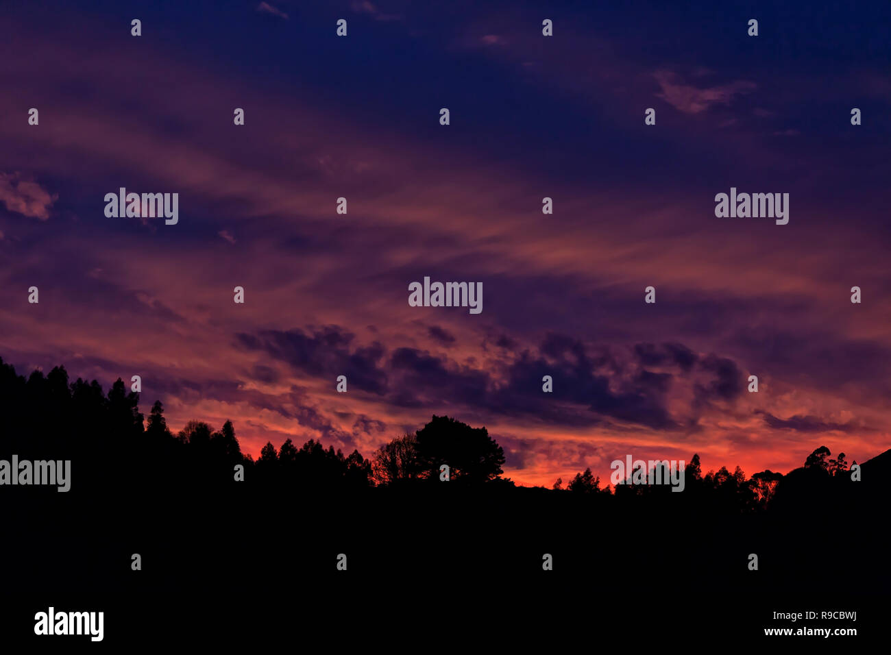 The sky and the clouds are dyed red in a sunset Stock Photo - Alamy