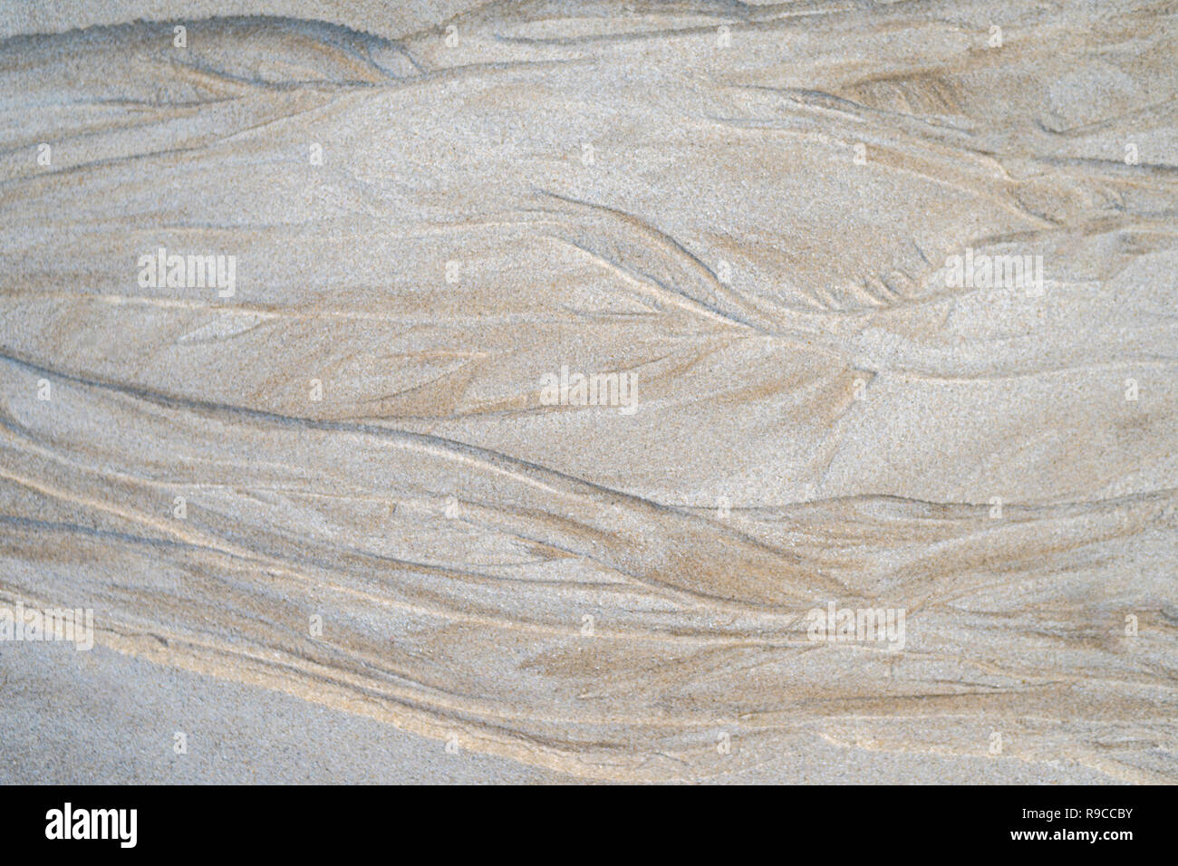 Beautiful natural texture design left by the tide on the beach Stock ...