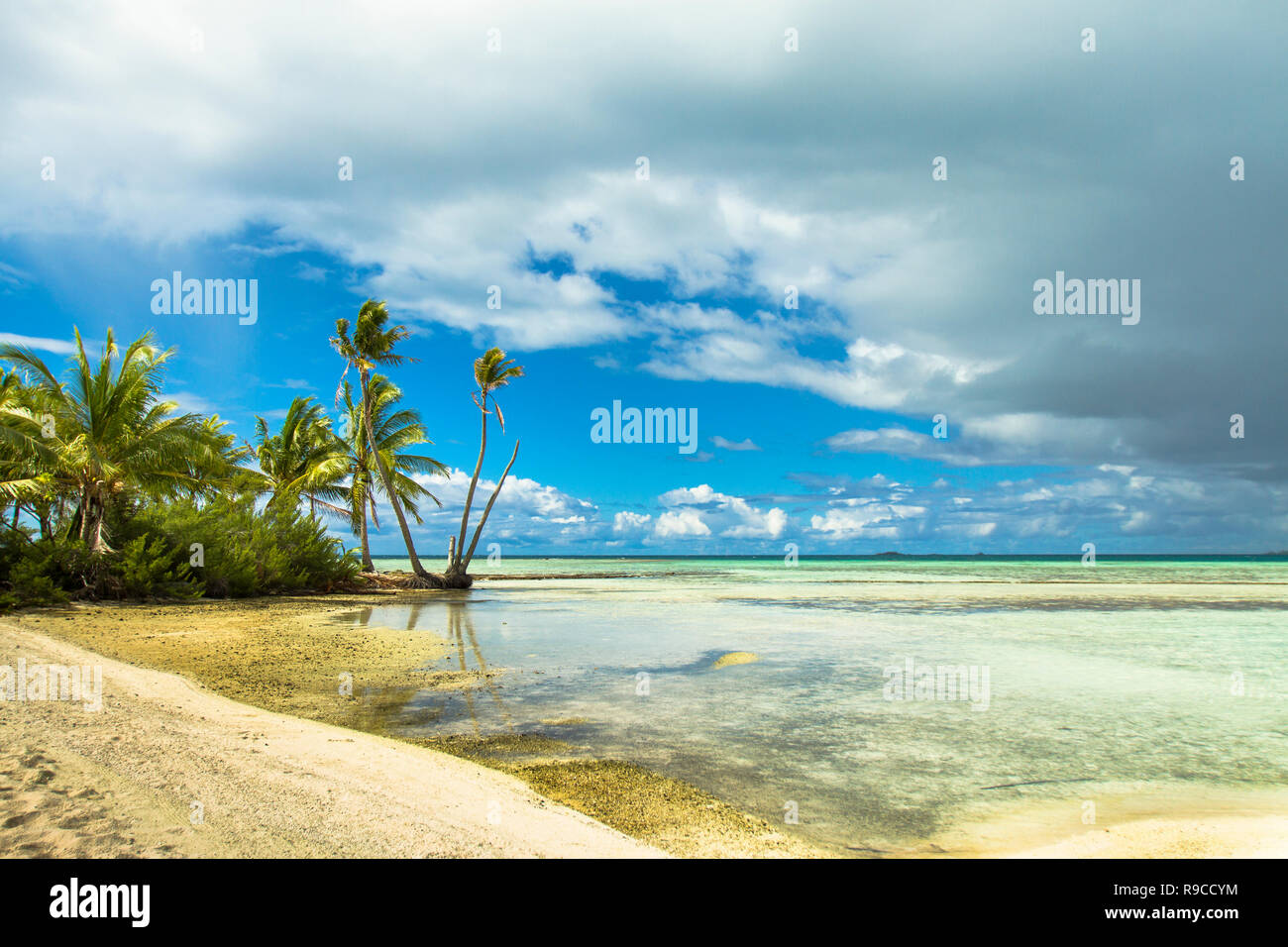 Blue lagoon of Rangiroa atoll, Tuamotu islands, French Polynesia Stock ...