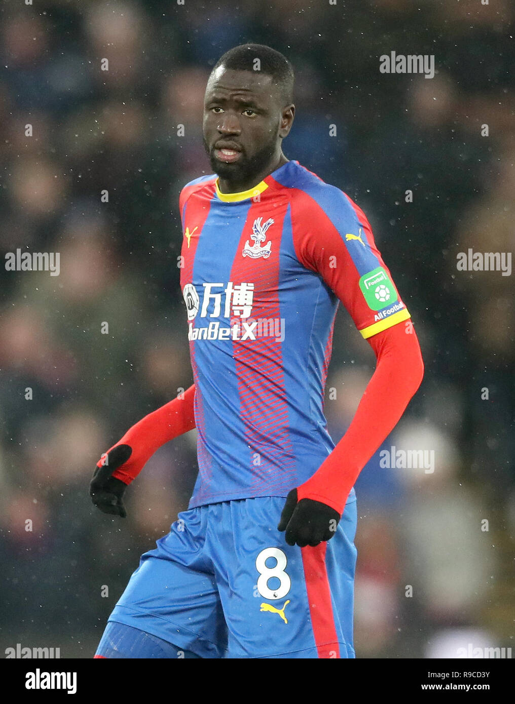 Cheikhou kouyate crystal palace hi-res stock photography and images - Alamy