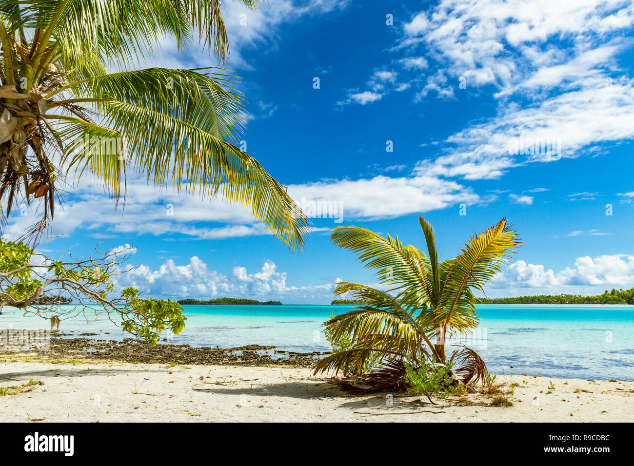 Blue lagoon of Rangiroa atoll, Tuamotu islands, French Polynesia Stock ...