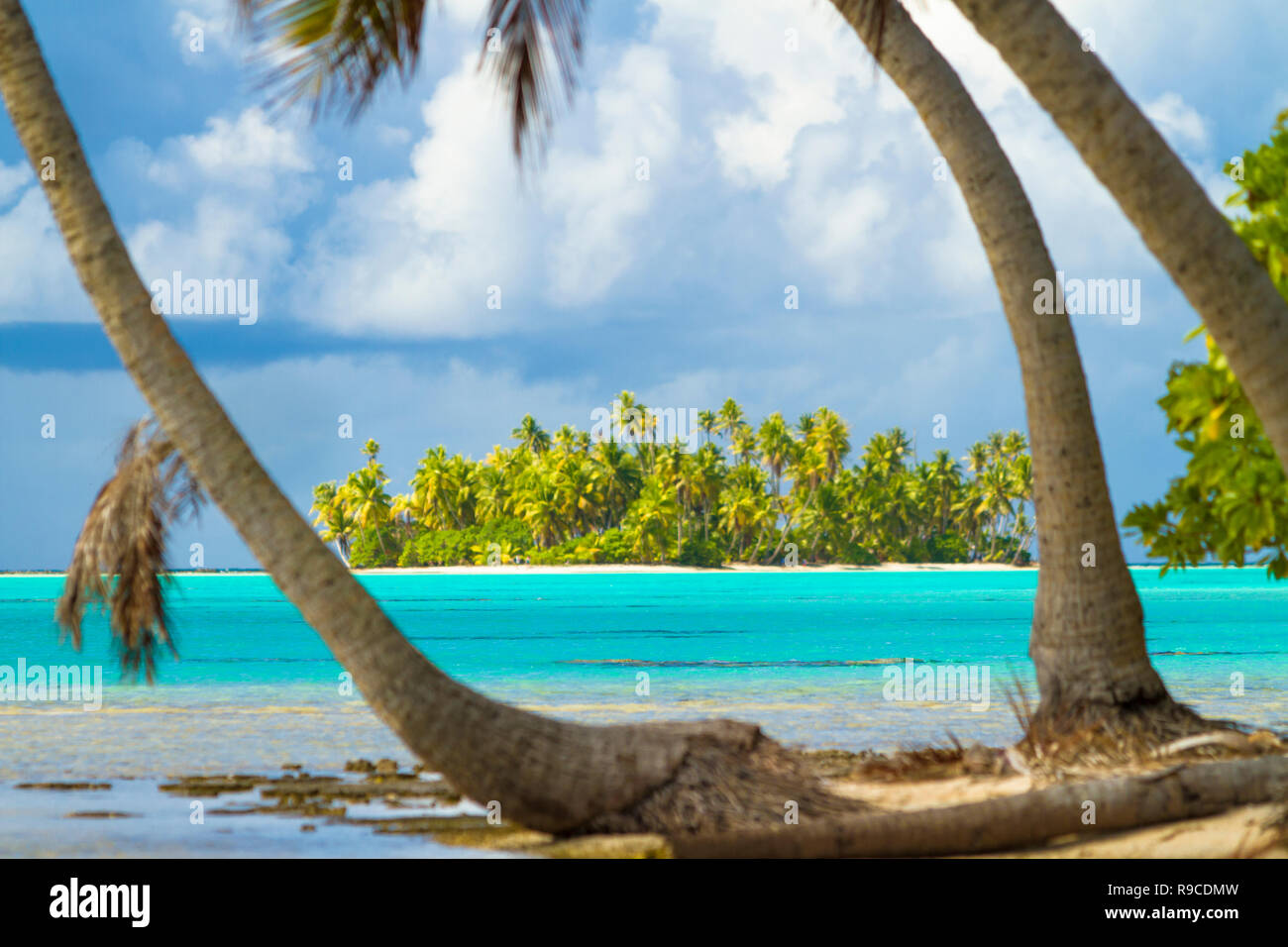 Blue lagoon of Rangiroa atoll, Tuamotu islands, French Polynesia Stock ...