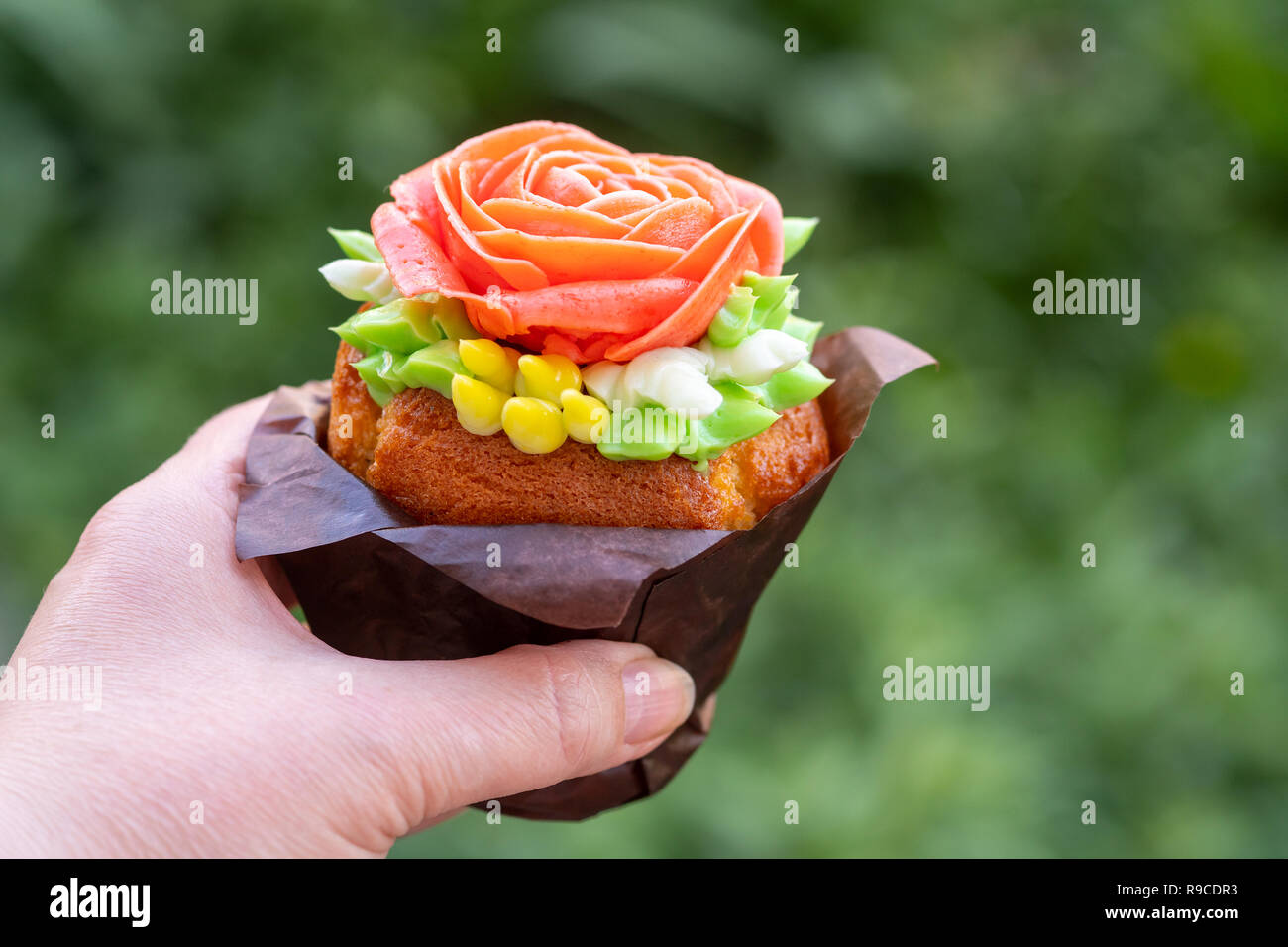 Cupcake decorated with cream rose in the hand, flowers of Korean butter ...