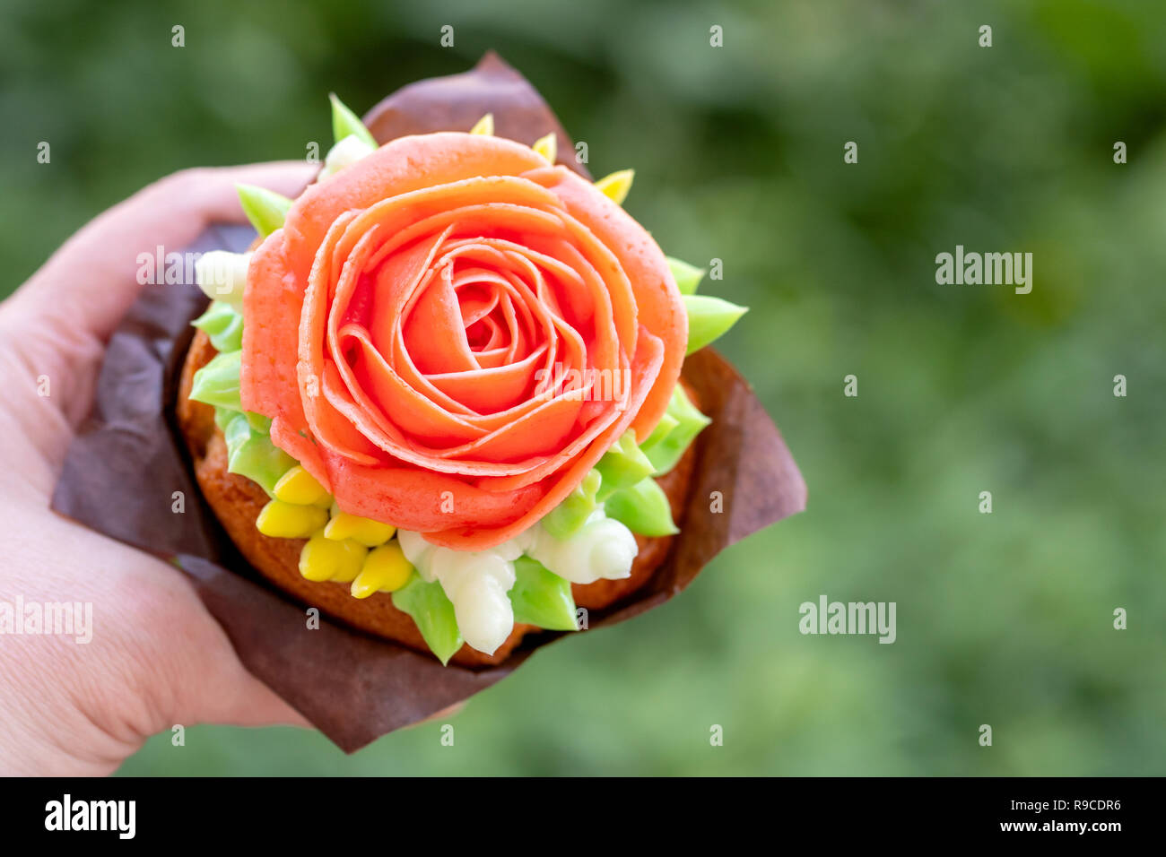 Cupcake decorated with cream rose in the hand, flowers of Korean butter ...