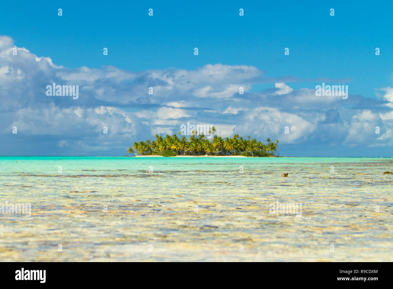 Blue lagoon of Rangiroa atoll, Tuamotu islands, French Polynesia Stock ...