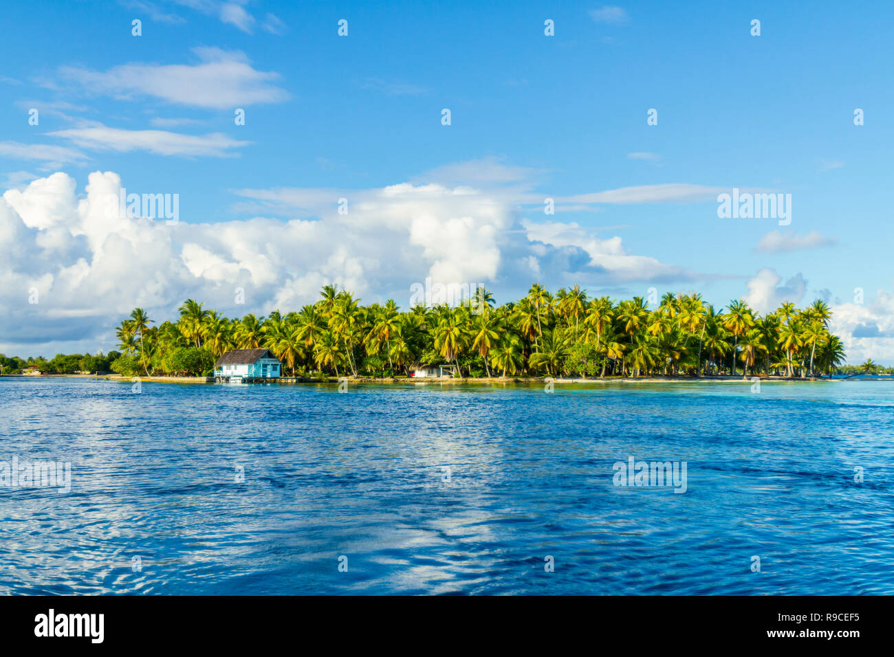 Blue lagoon of Rangiroa atoll, Tuamotu islands, French Polynesia Stock ...