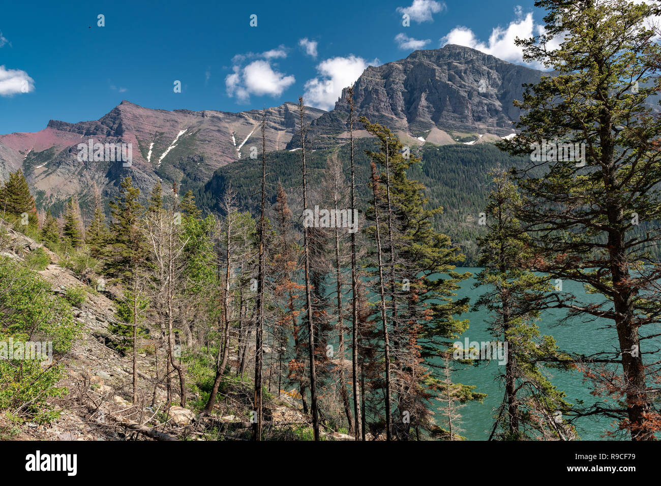 Beautiful landscape view of St Mary Lake in Glacier National Park ...