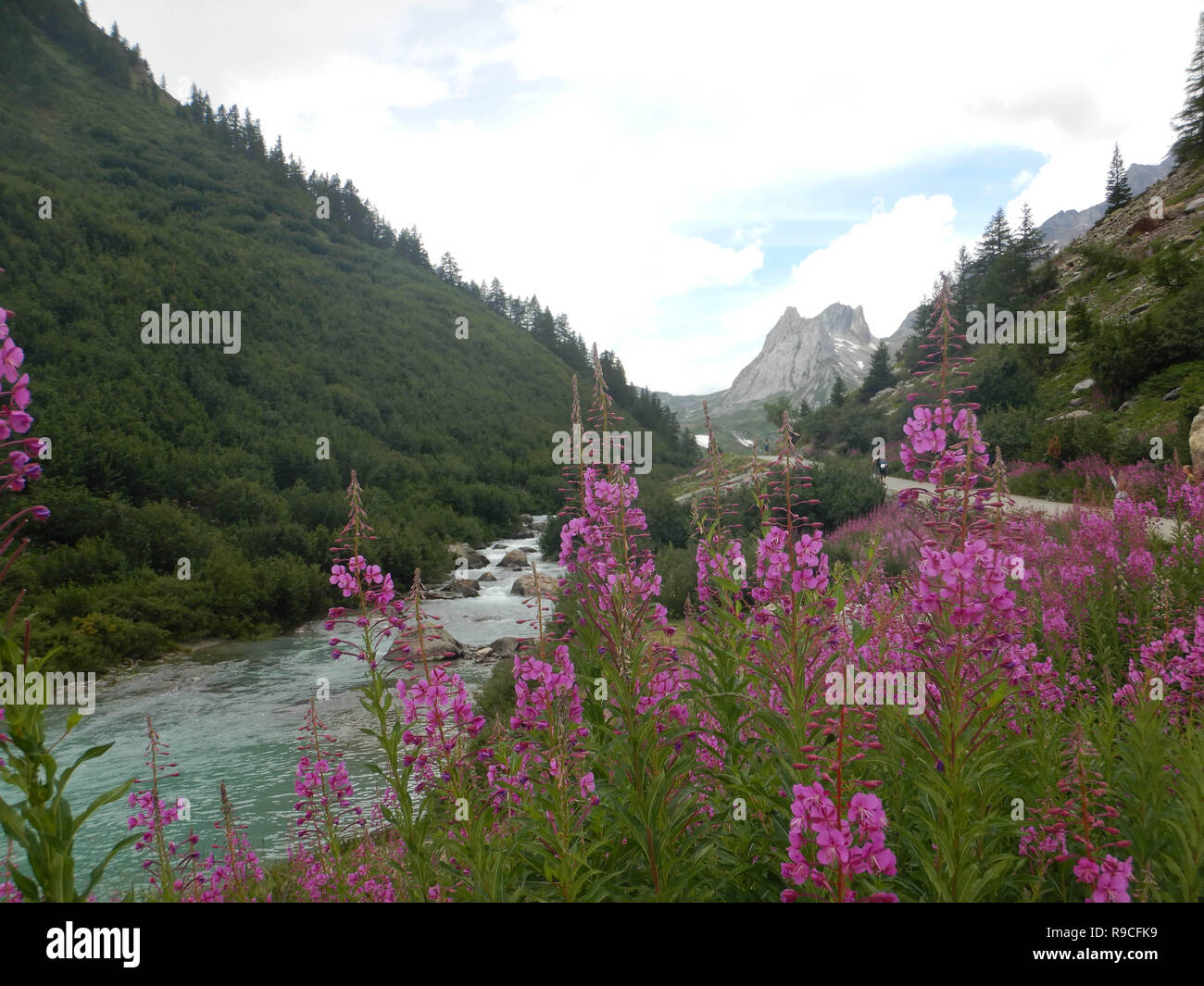 Veny Valley, Val d'Aosta - Italy. River Dora veny Stock Photo - Alamy