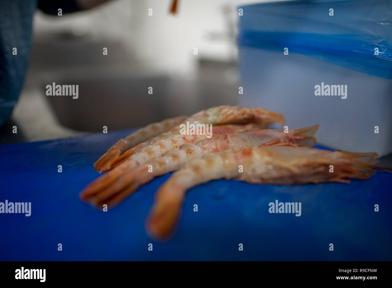 Image of king prawns hi-res stock photography and images - Alamy