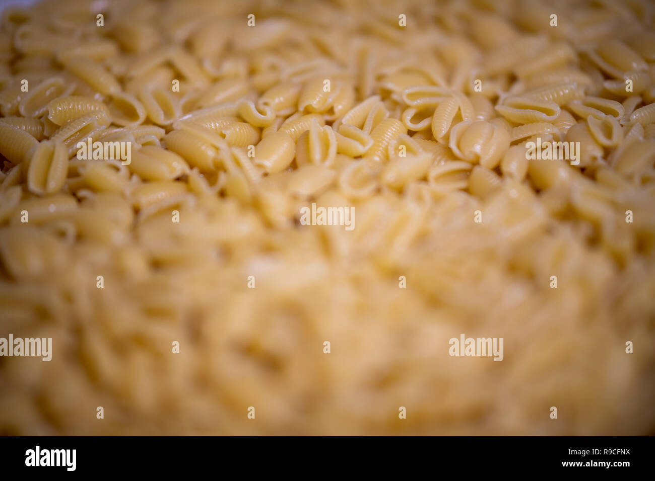 Dried shells hi-res stock photography and images - Alamy