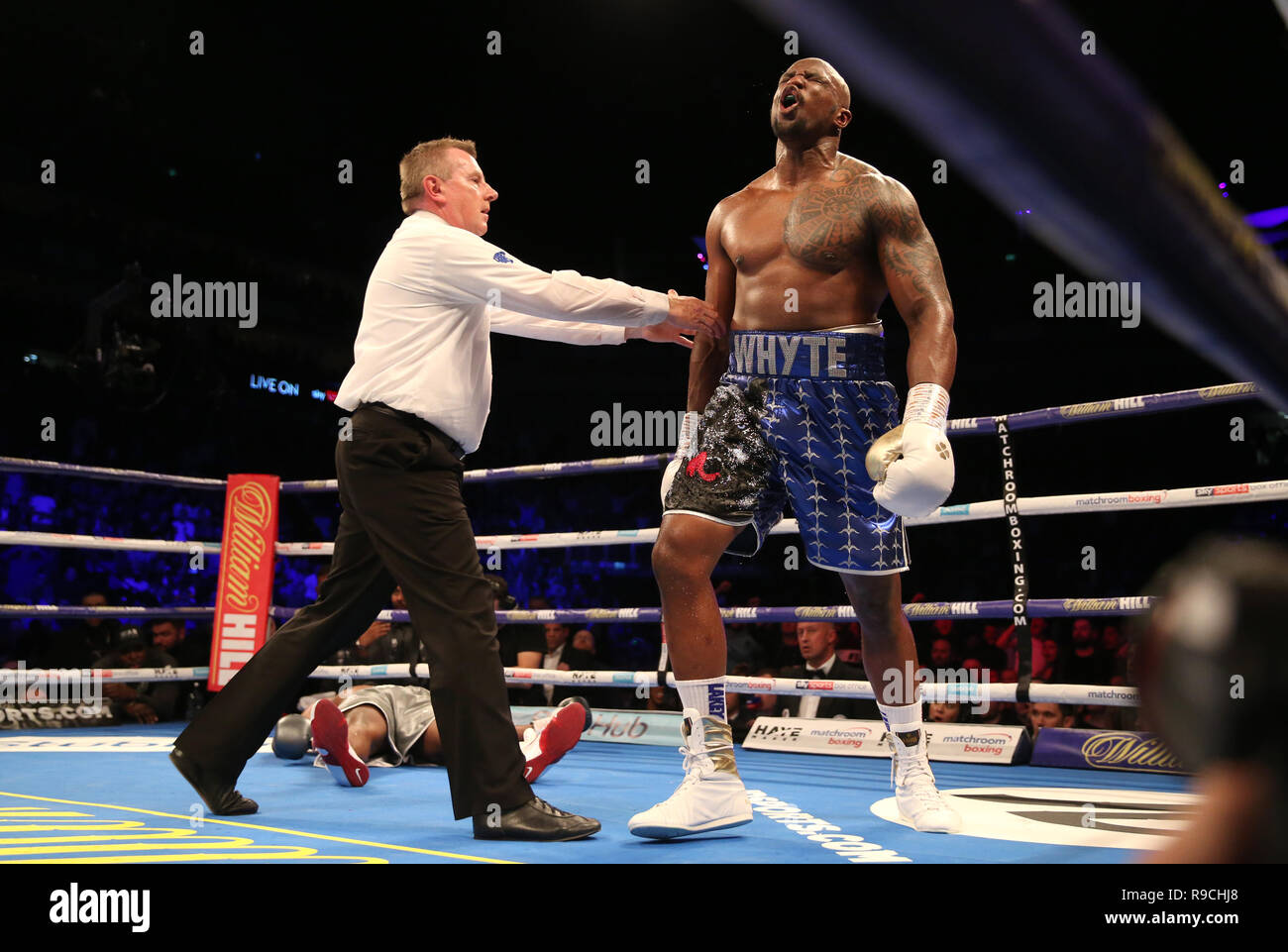 Dillian Whyte celebrates winning the WBC Silver and WBO International ...