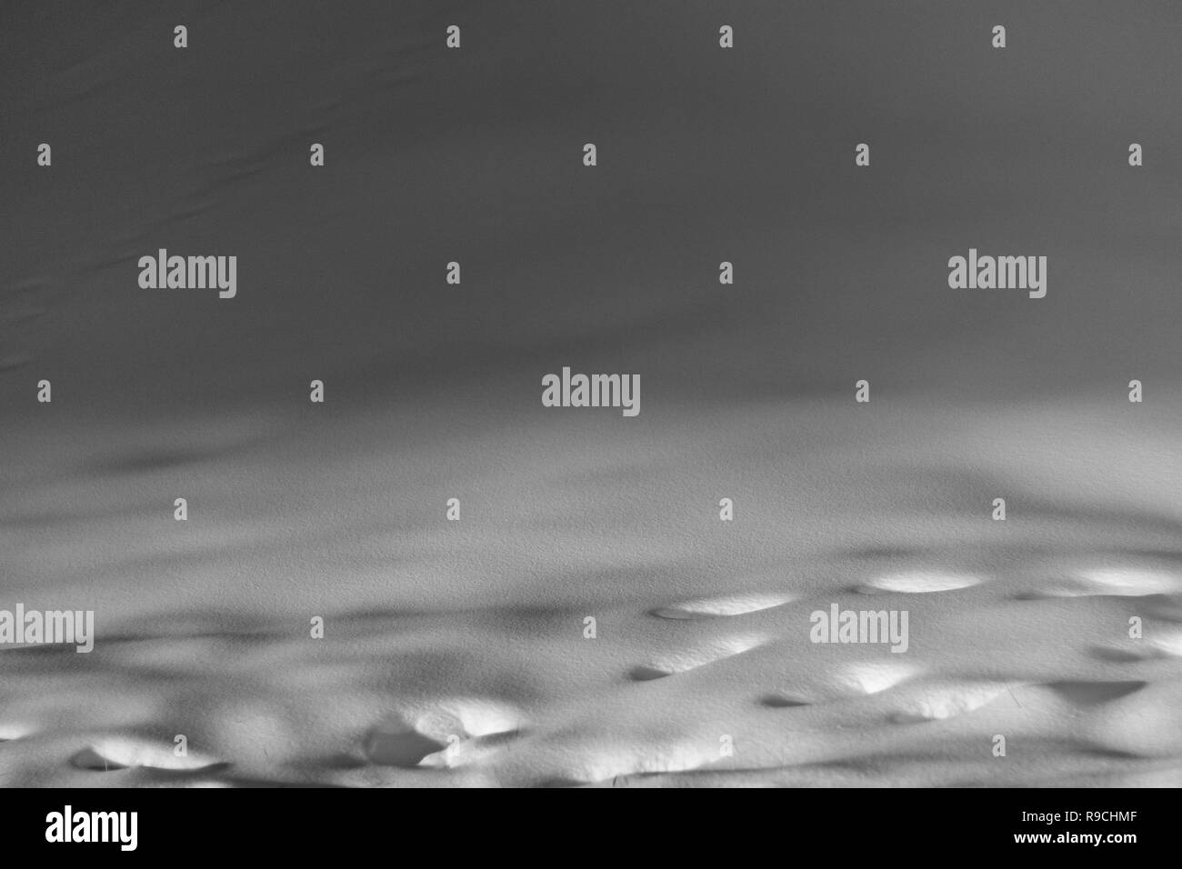 beautiful north european winter time nature landscape with trees and ...