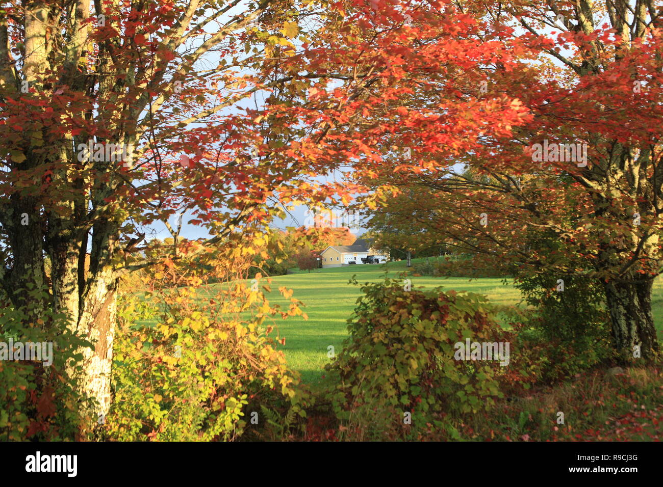 New england fall colours hi-res stock photography and images - Alamy