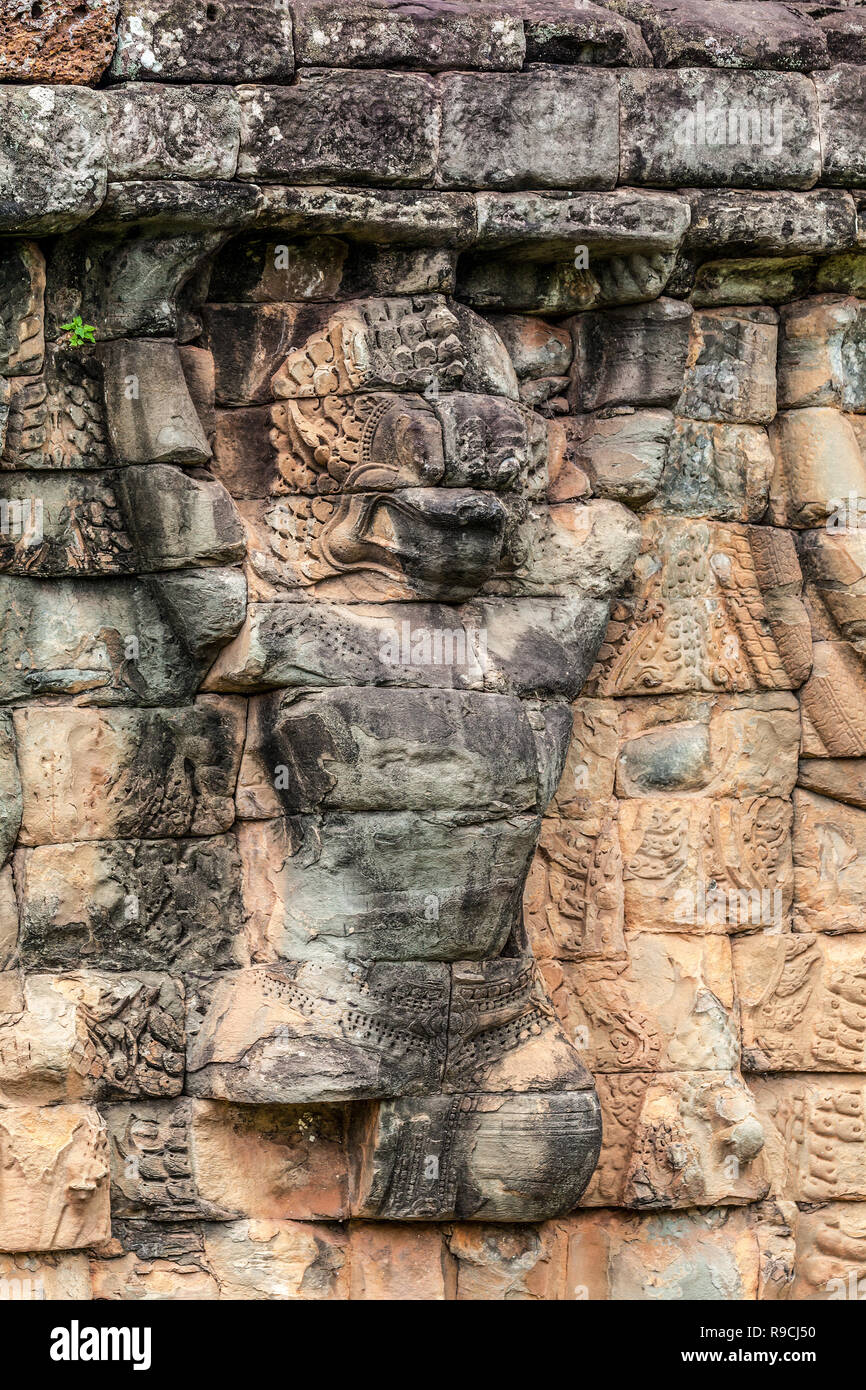 Sandstone bas relief khmer carvings at the elephant terrace wall in hi ...