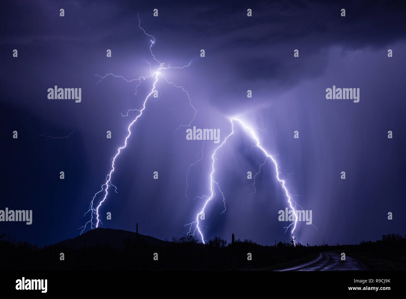 Vivid lightning bolts strike during a summer thunderstorm in Arizona ...