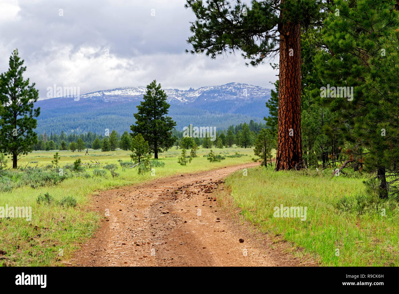 Prairie city hi-res stock photography and images - Alamy