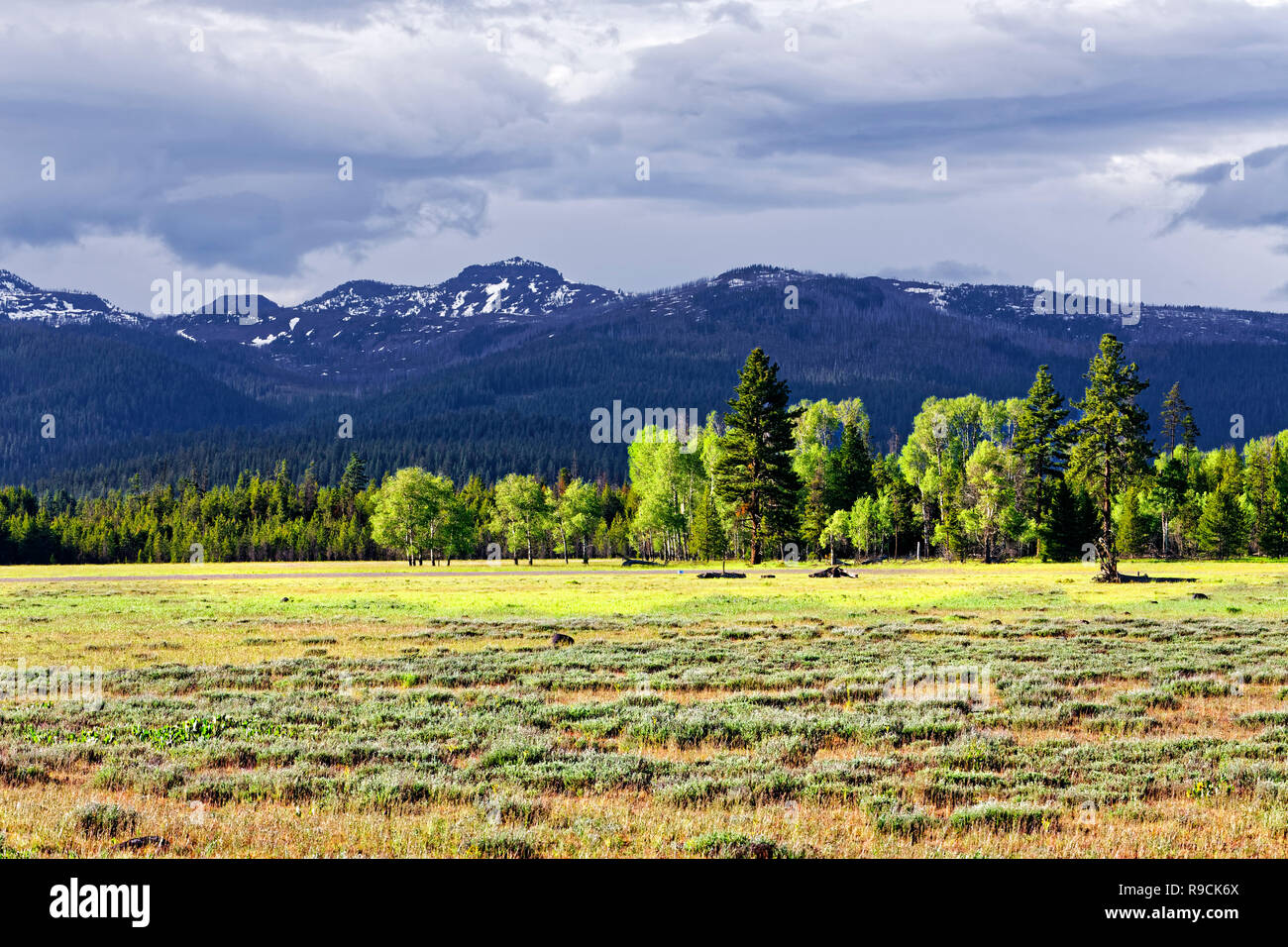 Beautiful logans prairie hi-res stock photography and images - Alamy