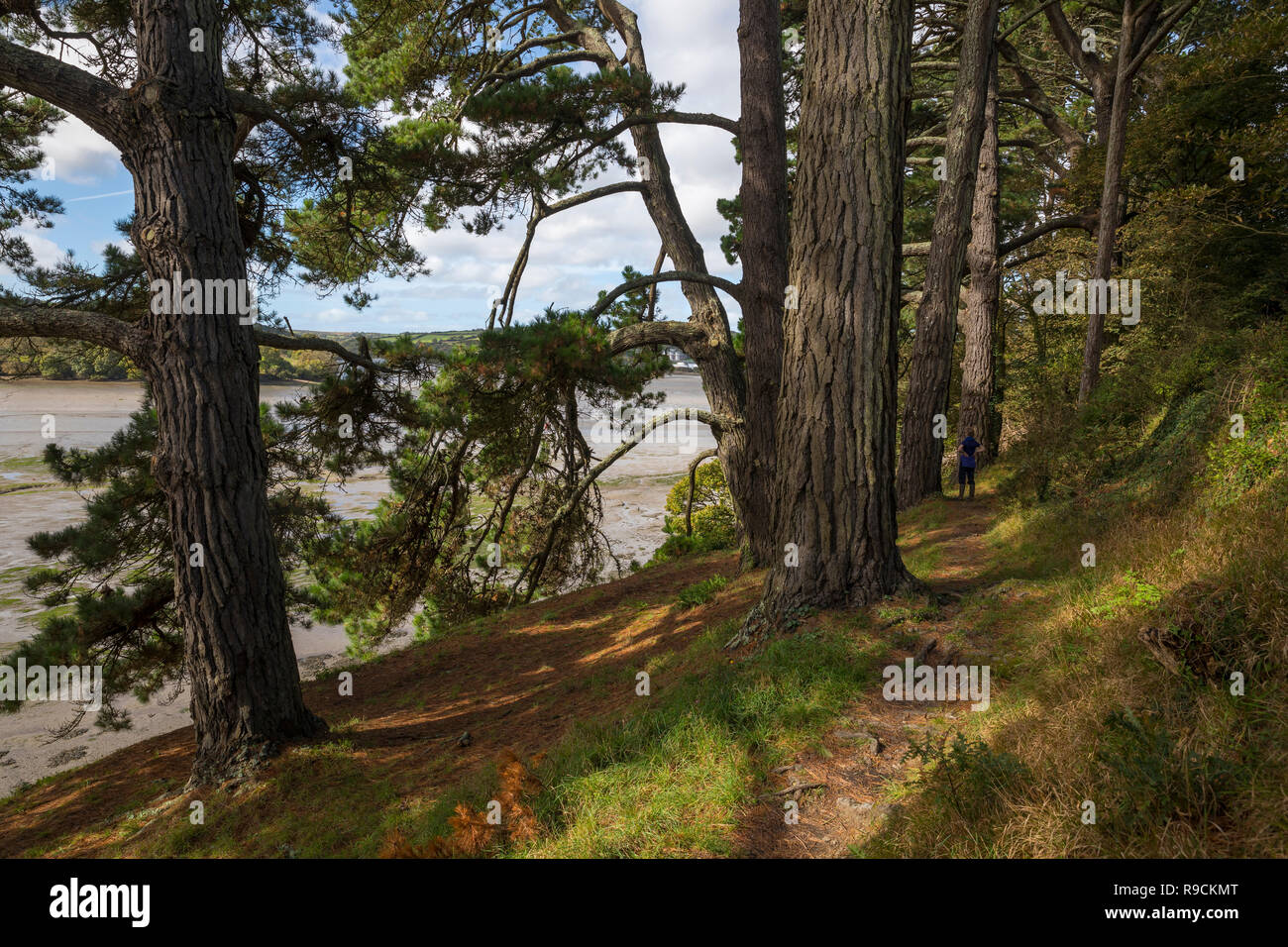 Truro cornwall river hi-res stock photography and images - Alamy