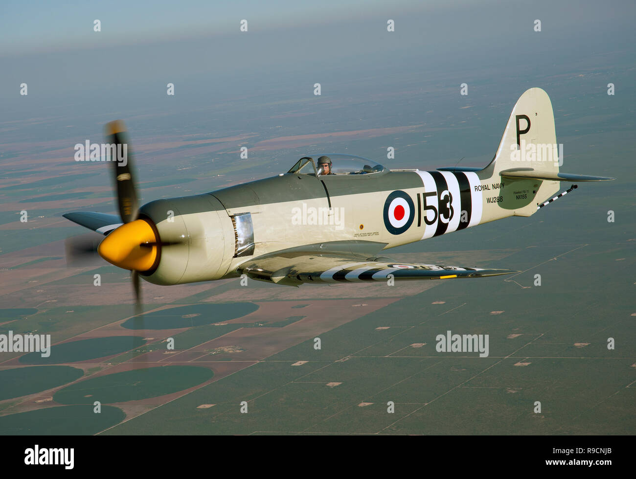 Hawker Sea Fury Stock Photo - Alamy