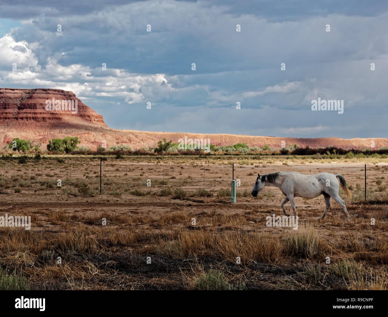Lone Rock Beach, Lake Powell Stock Photo - Alamy