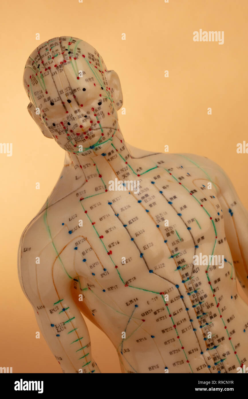 Acupuncture Model isolated on beige background Stock Photo - Alamy