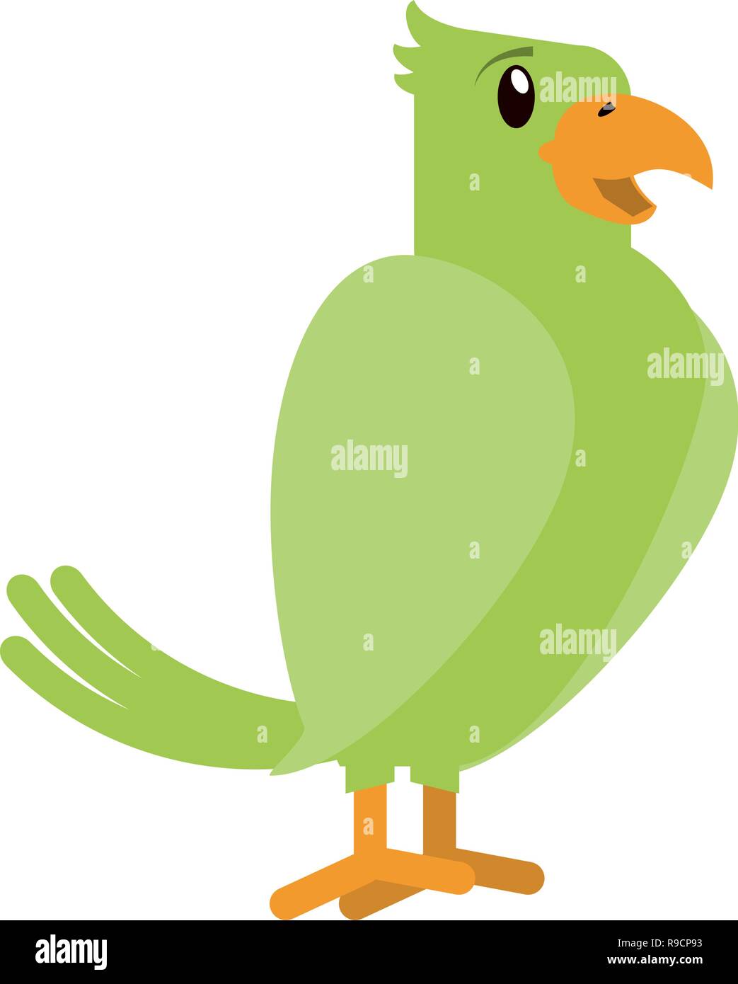 Parrrot Bird Cartoon Stock Vector Image And Art Alamy