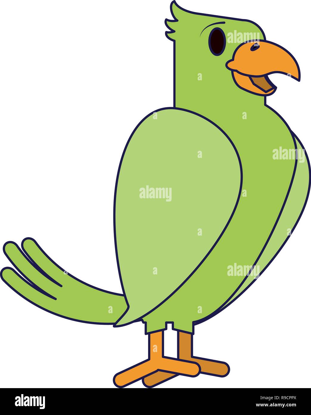 Parrrot bird cartoon Stock Vector Image & Art - Alamy