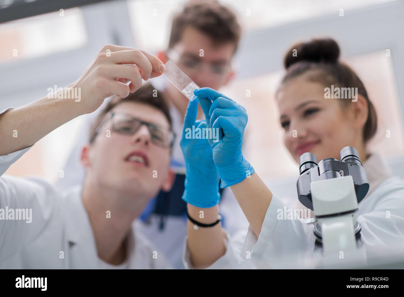 Group of young medical students doing research together in chemistry ...