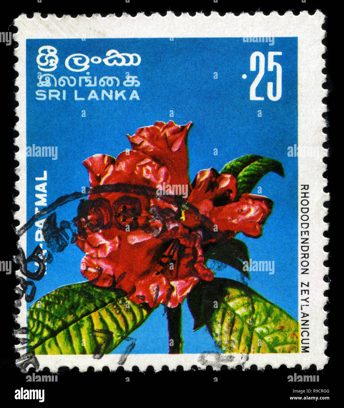 Sri lanka postage stamp hi-res stock photography and images - Alamy